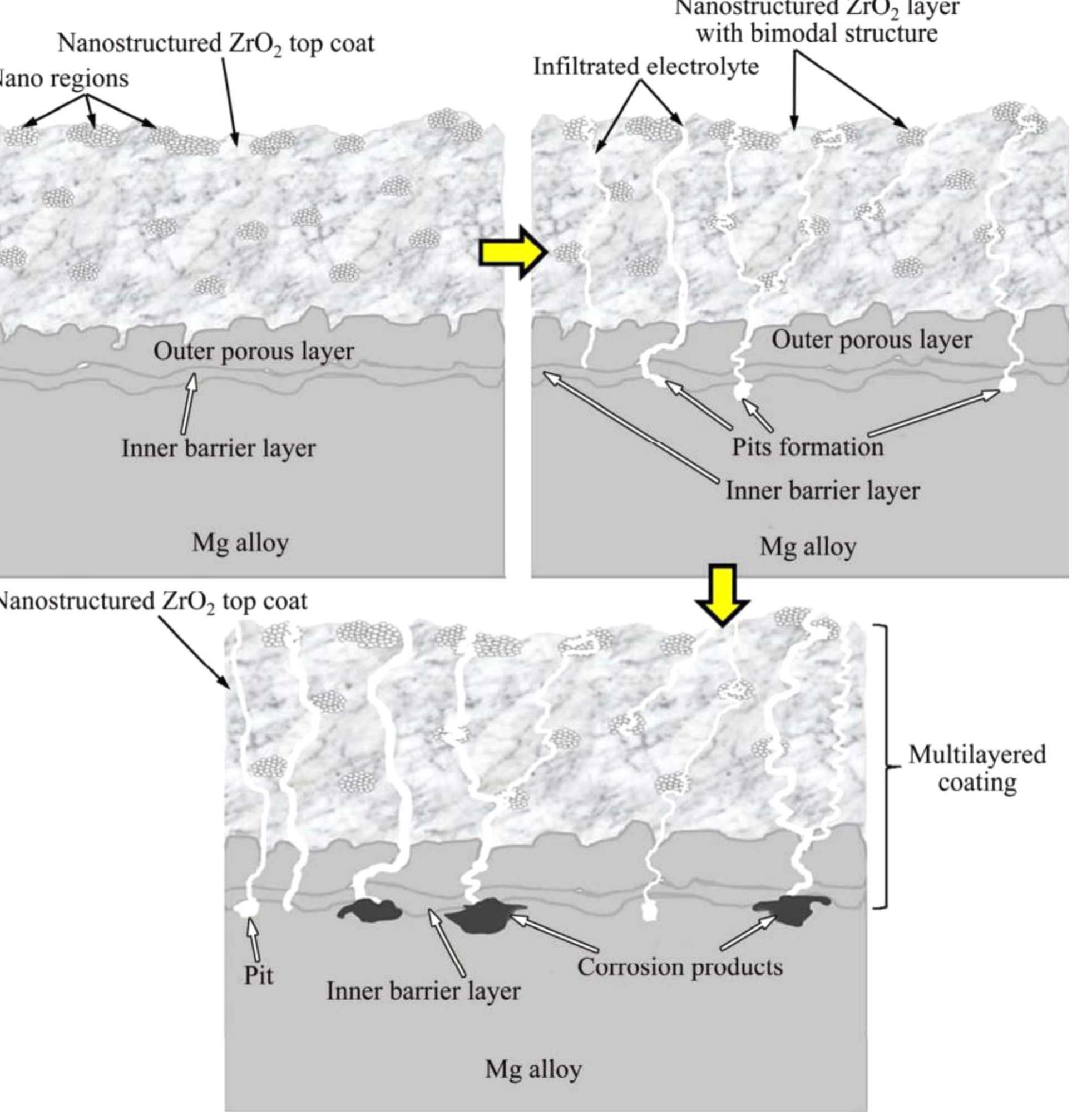 Schematic of corrosion mechanism of multilayered