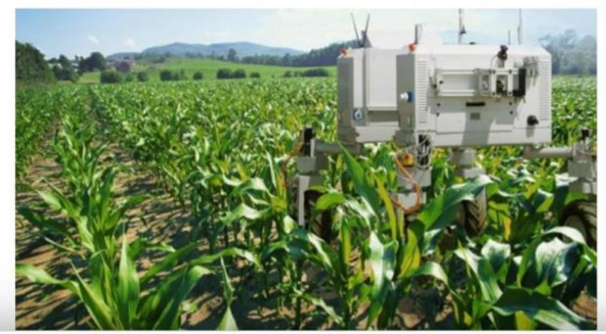 A typical vertical farming [6].