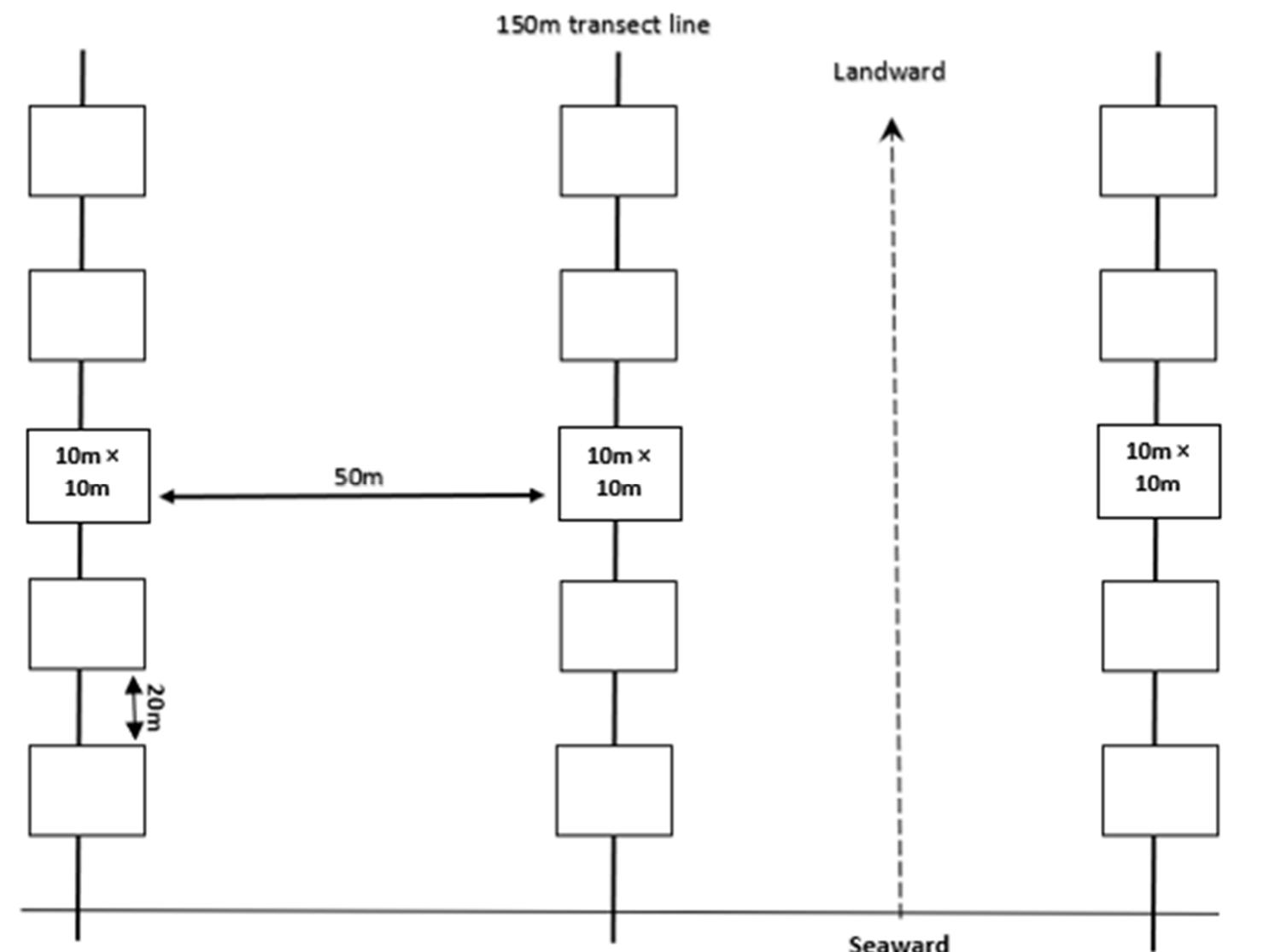 Strip-split plot sampling design that was used in the study.