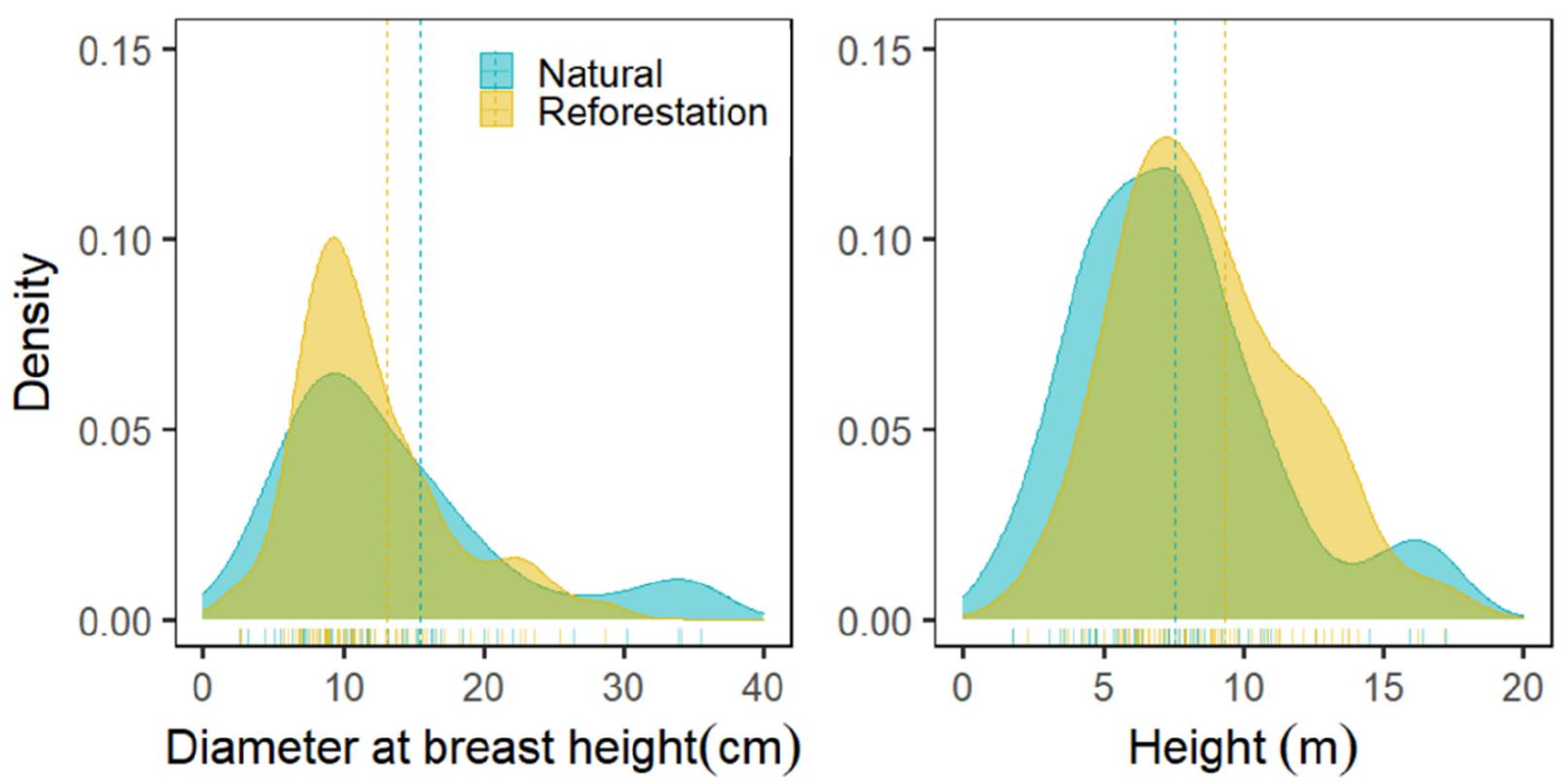 Kernel Density Histogram Of Diameter At Breast Height Dbh