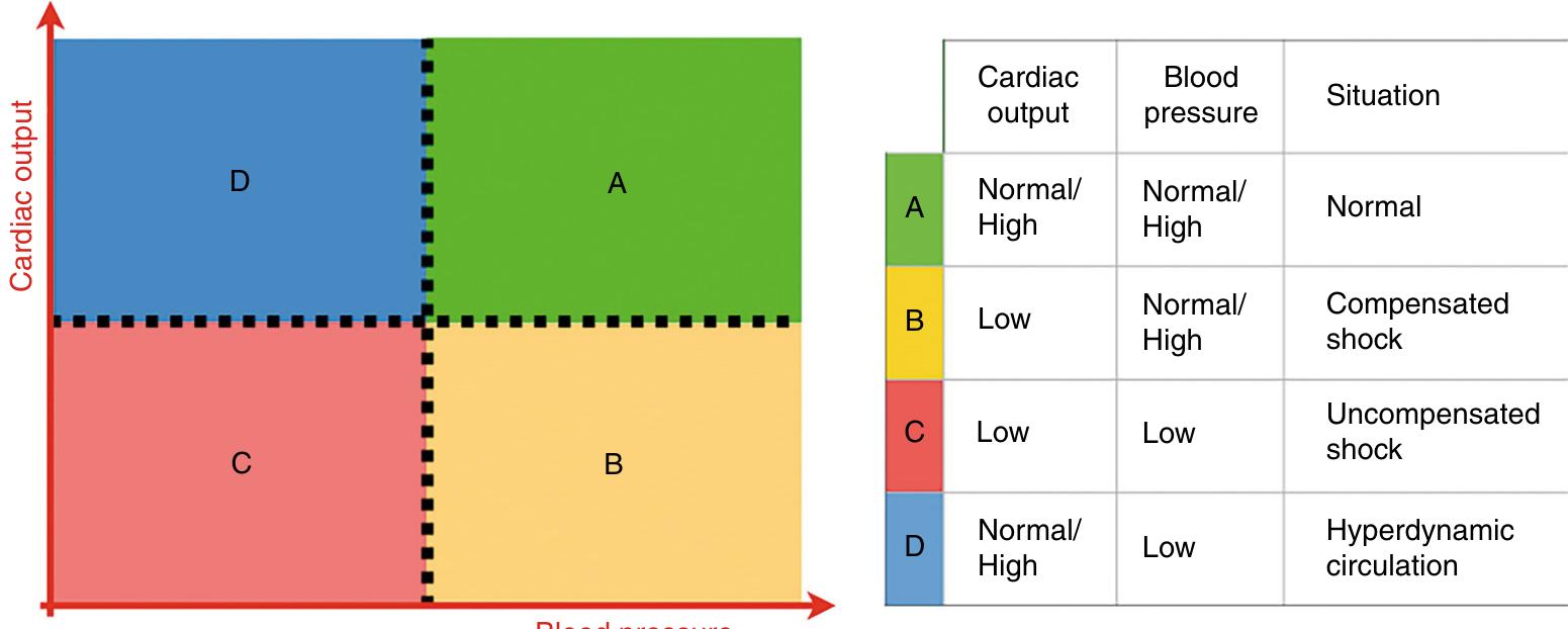 Identification of the stage of shock by simultaneous