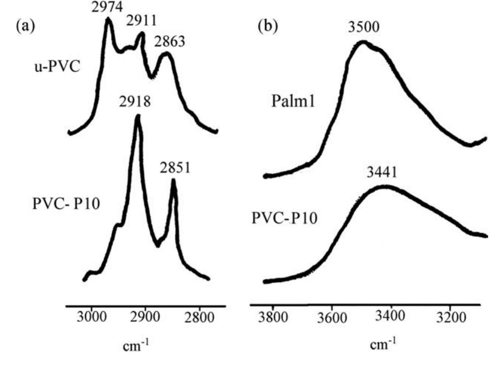 Expanded ftir spectra of u-pvc, palm1, and pvc-p10.