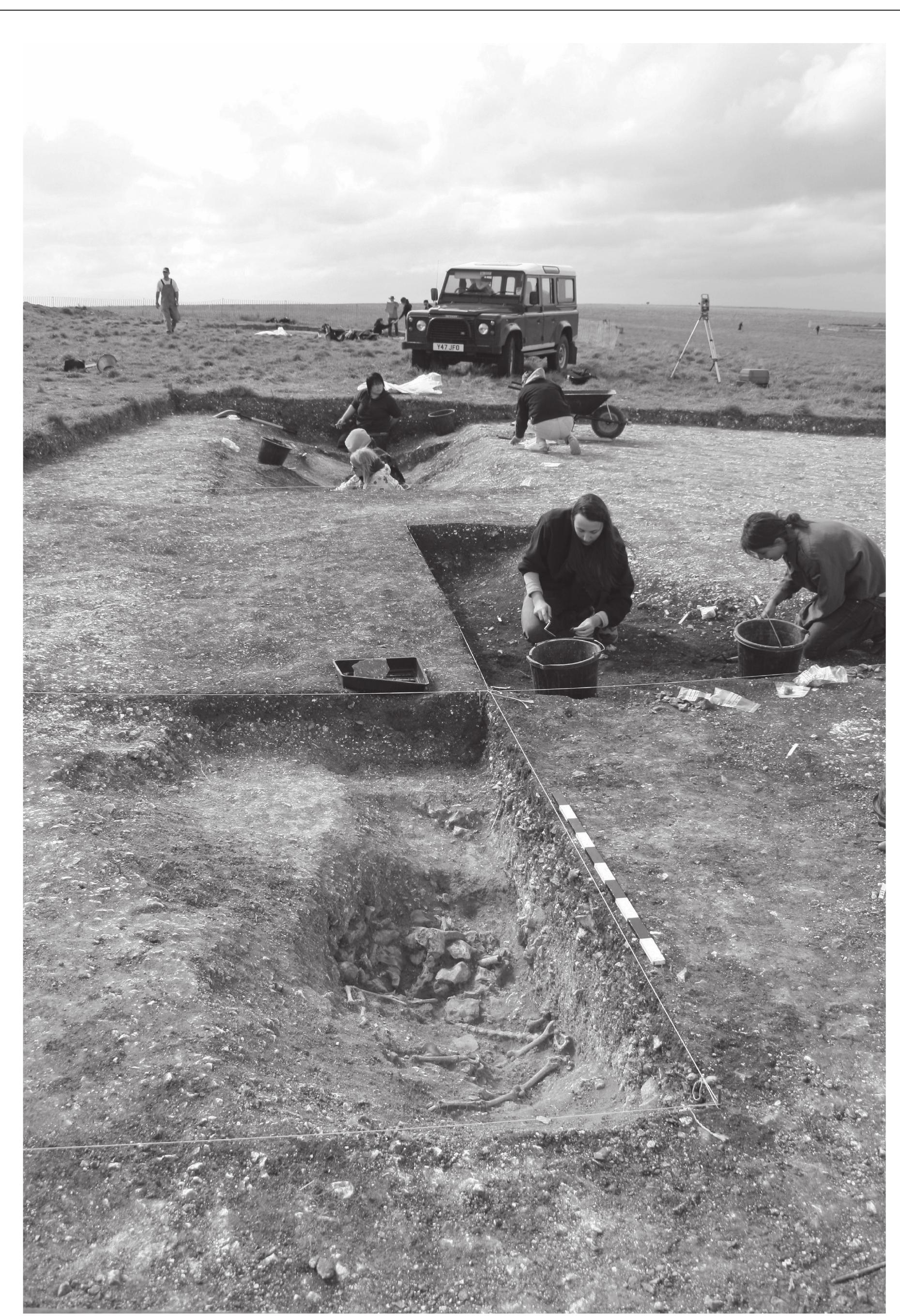 10. the palisade ditch under excavation, 2008, with sheep