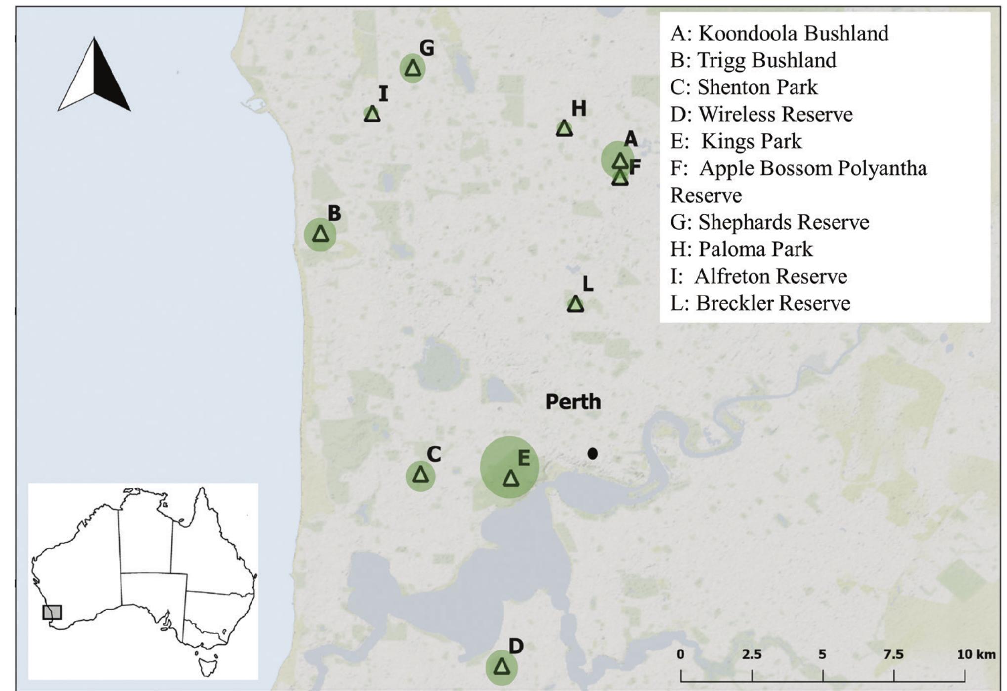 Bushland remnants where populations of diuris magnifica were