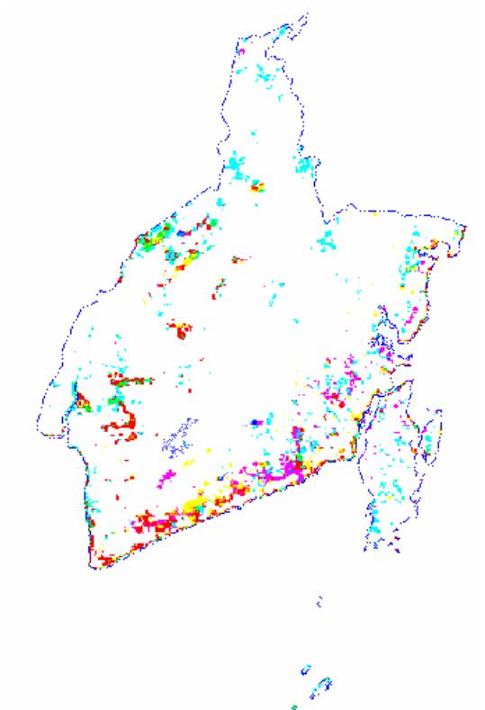 Final image of rgb-ndvi classification