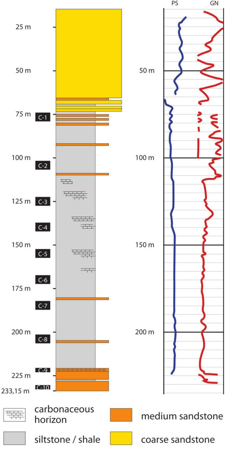 2. lithostratigraphy of the moussegouda section and location