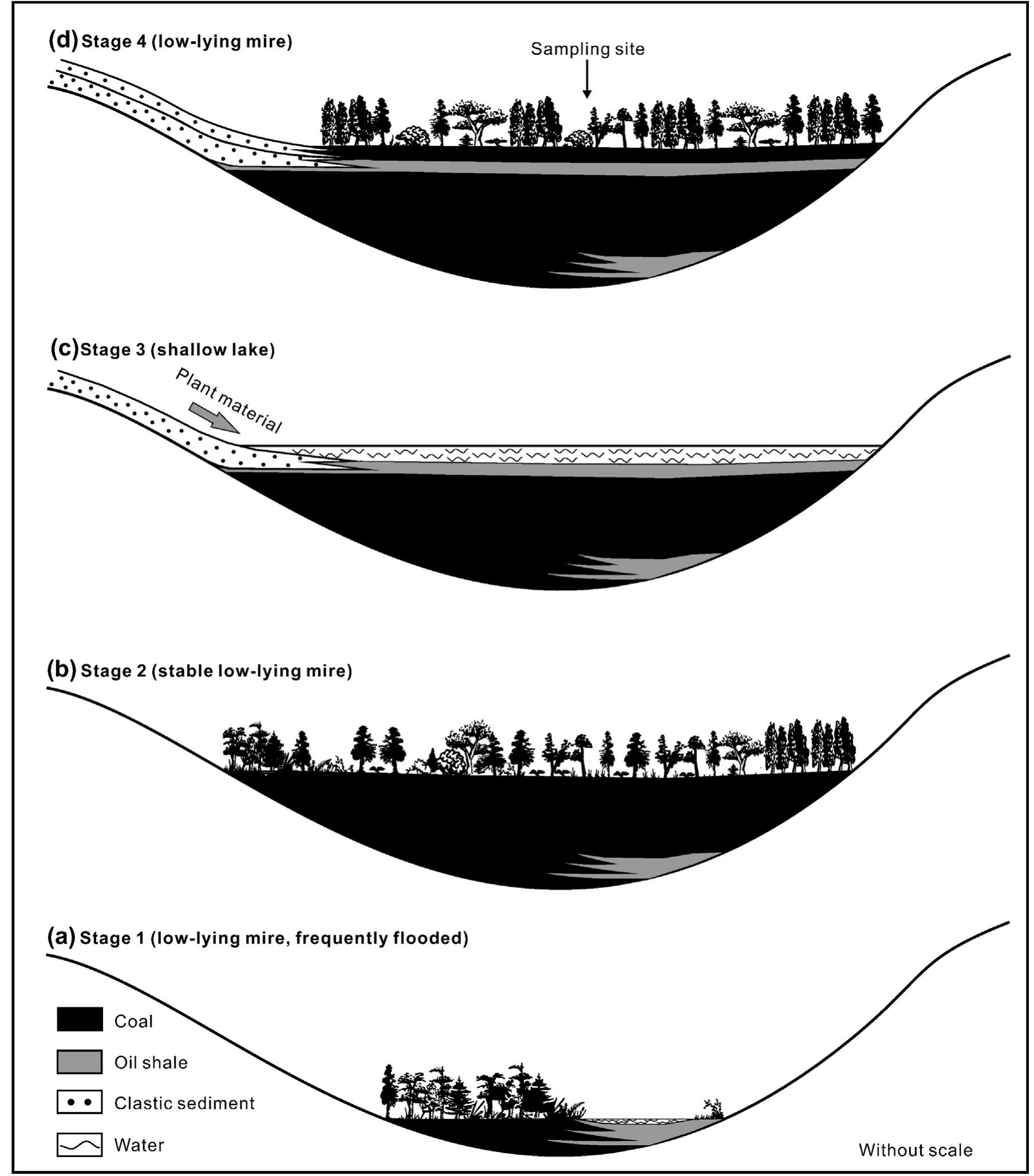 Cartoon illustrating four (a-d) stages of the evolution of
