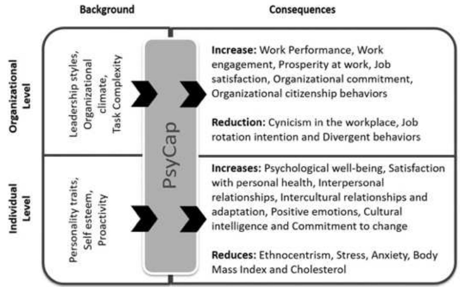 (PDF) Psychological Capital Questionnaire (PCQ-24): Preliminary ...