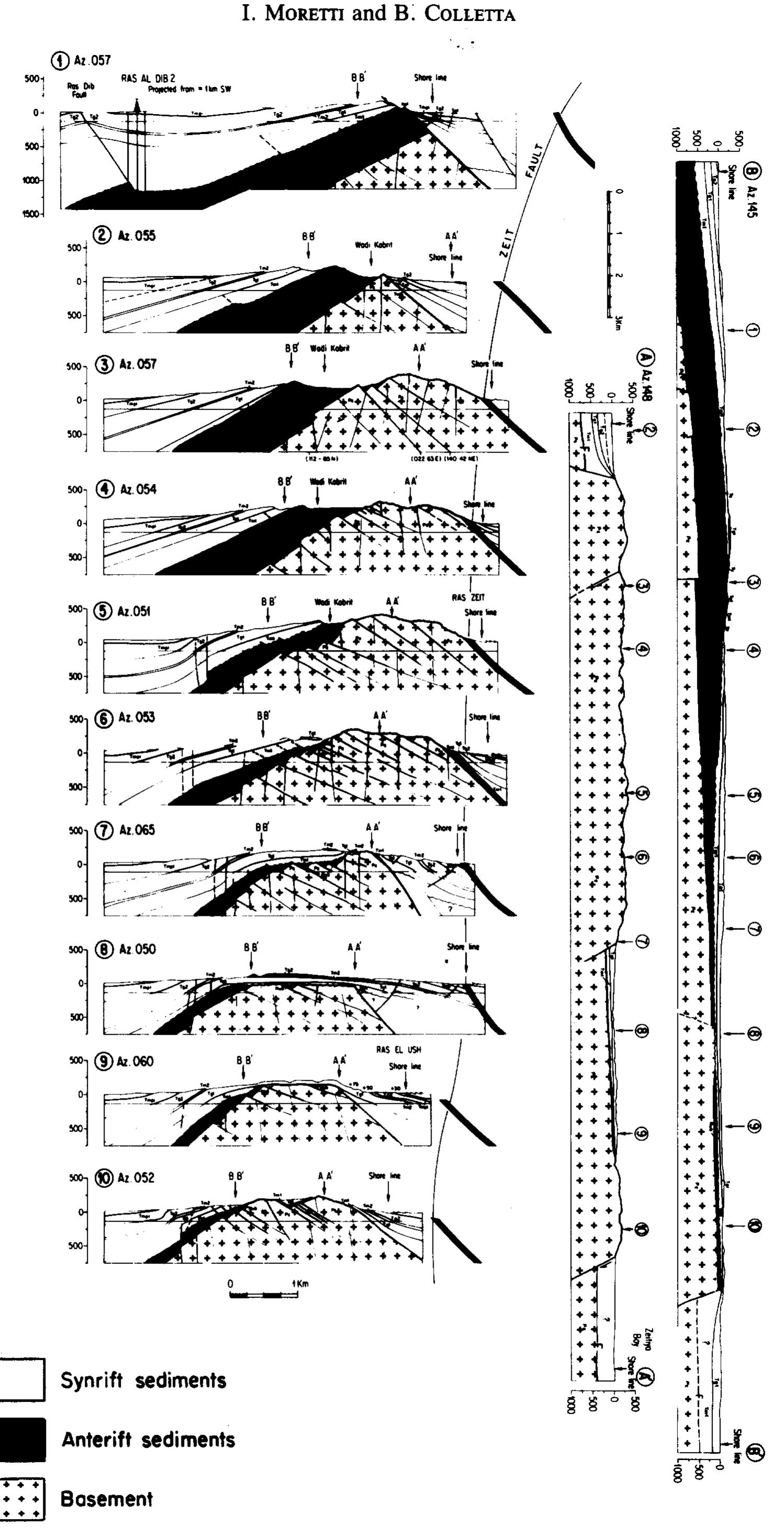 Serial transverse and longitudinal cross-sections of the