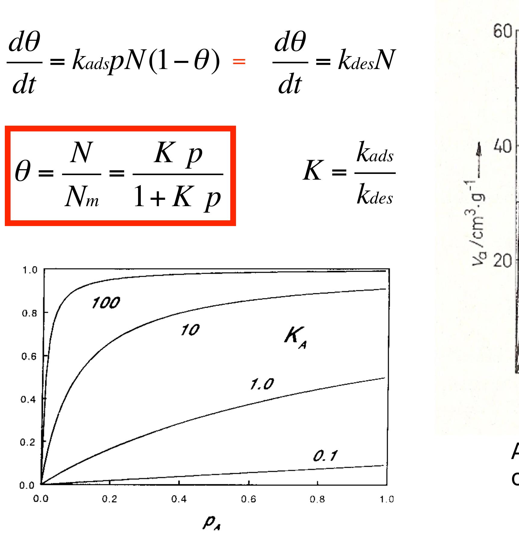 Figure 50 - Brunauer-Emmett-Teller (BET) surface area
