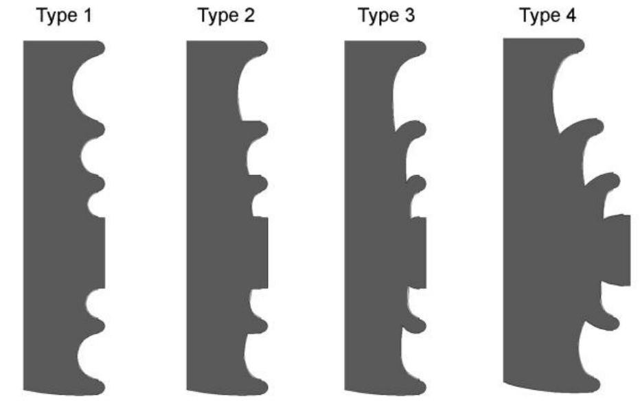 Cross-section drawing of the four volute types of the ionic