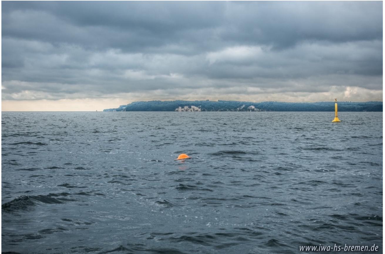 Wave measurements with miniature wave buoy in the prorer