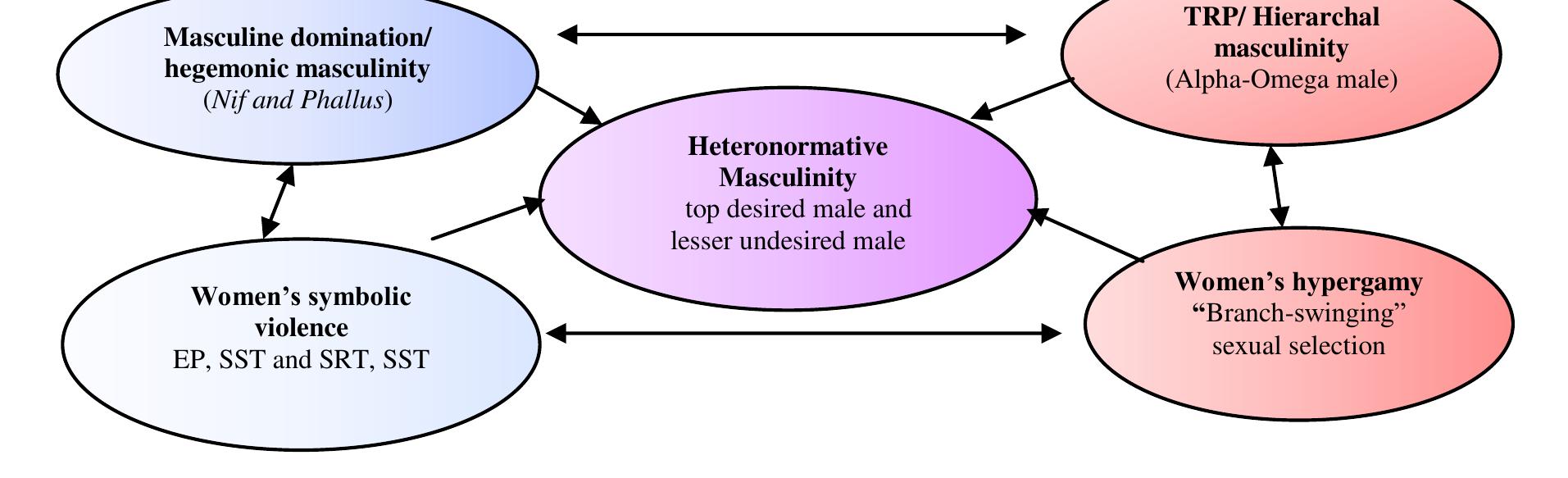 The formulation of heteronormative masculinity se ee ae ee