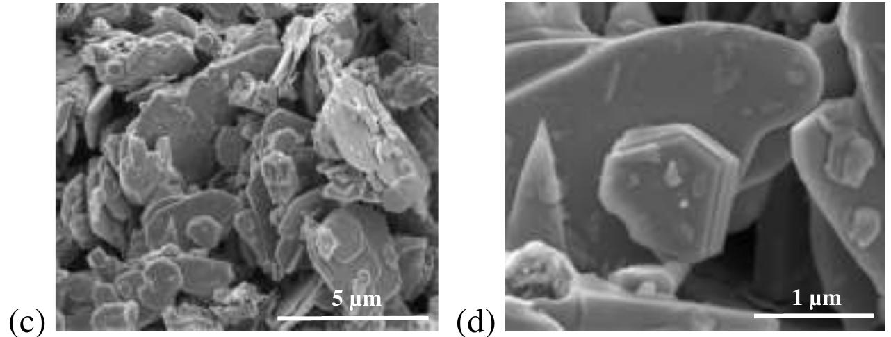 Sem images of (a) mg particles, (b) sic particles, (c) and