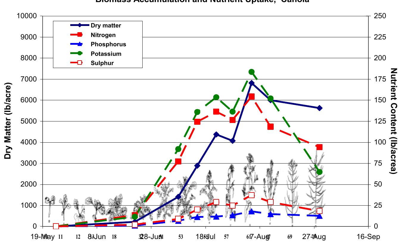 ‘igure 3. plant biomass and nutrient accumulation in canola