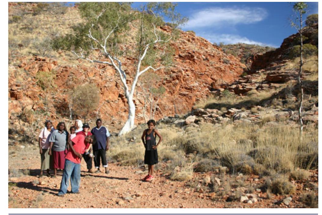 Elements or values in the country domain include, as