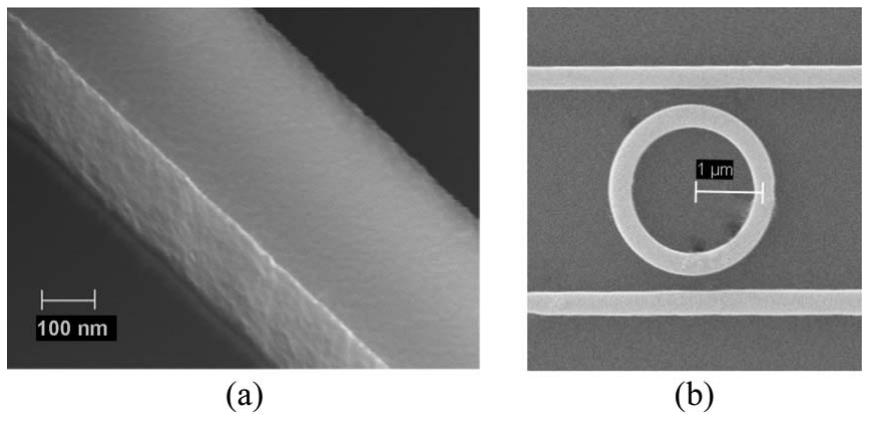 Sem image of (a) a typical soi bus waveguide and (b) a