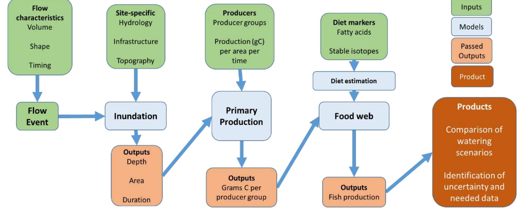 Structure of the food web model developed including inputs