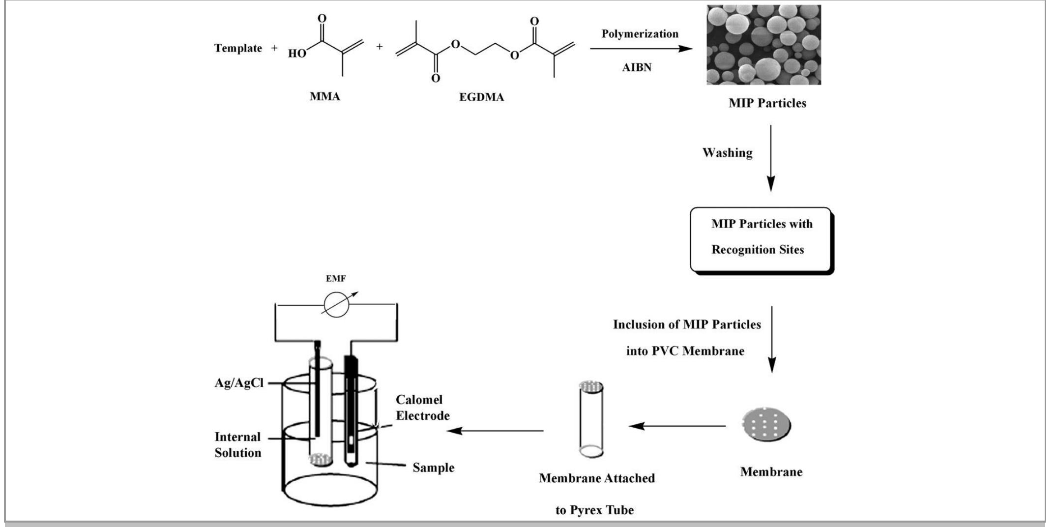 Schematic diagram for fabrication of a mip-based pvc