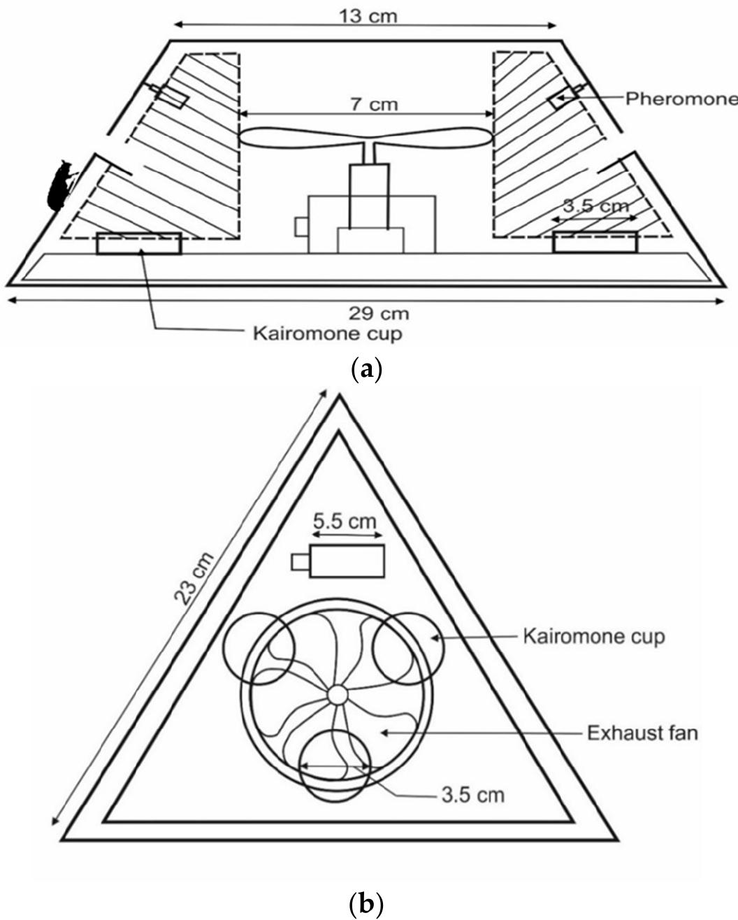 Schematic diagrams of trap 3. (a) cross section of trap 3;