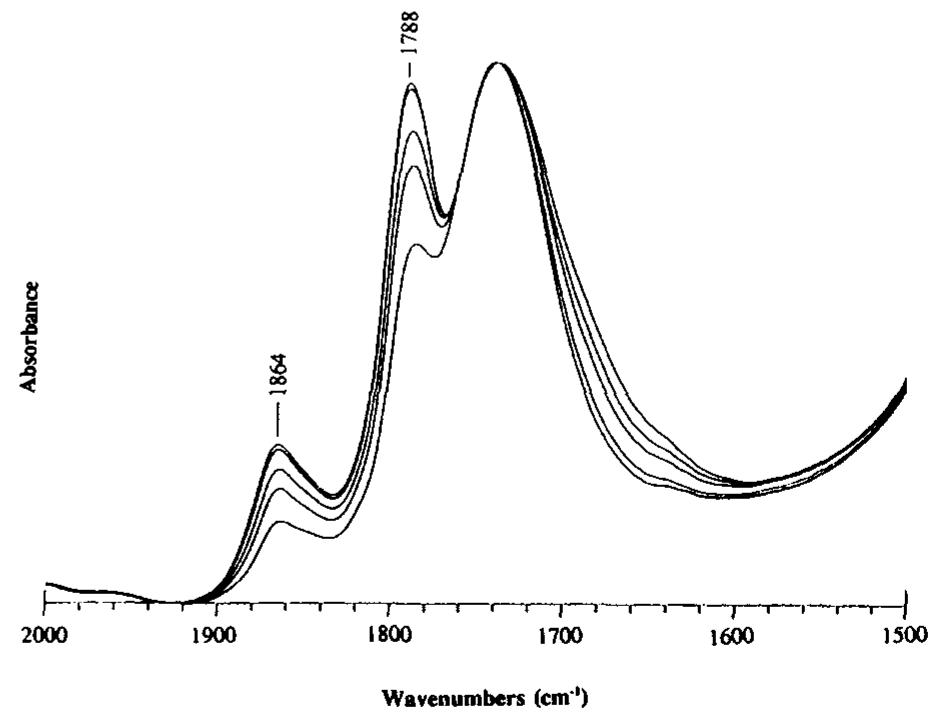 The infrared spectra of the cotton fabric treated with 6.0%