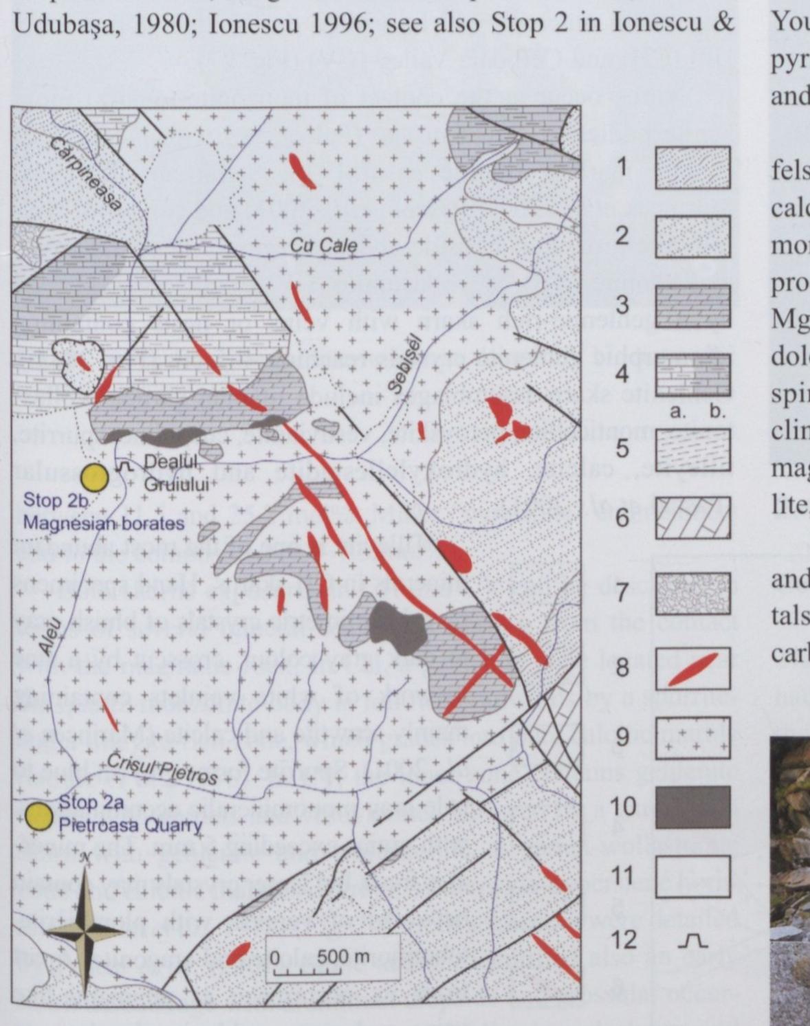 , simplified geological map of pietroasa area (redrawn after