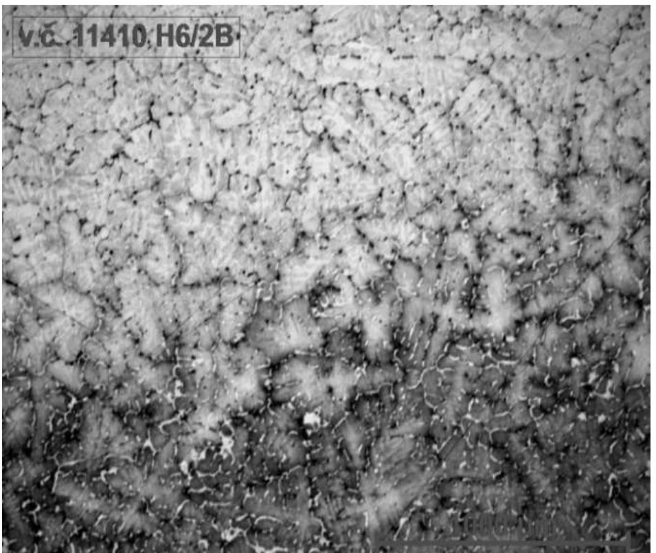 Electrical conductivity across the cross-section of butt of