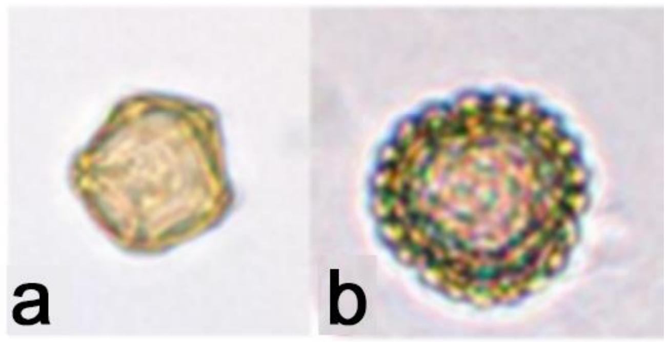 Figure 67 - Parsons Island Maryland Synthesis of