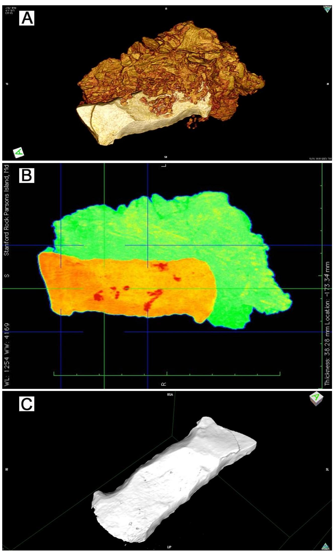 67. the images show various scans of the block removed from