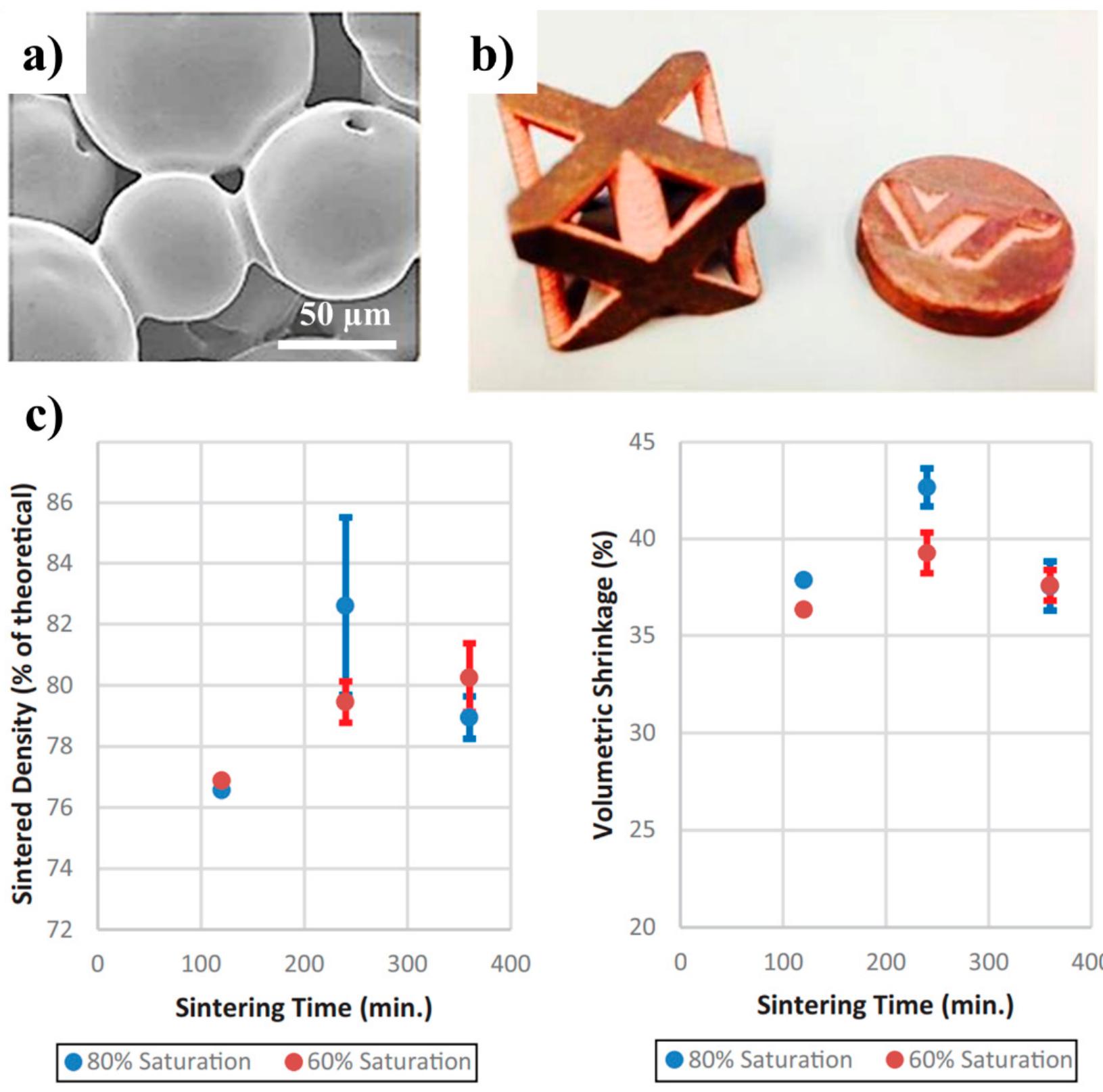 (a) sem image of the sintered copper particles, (b)