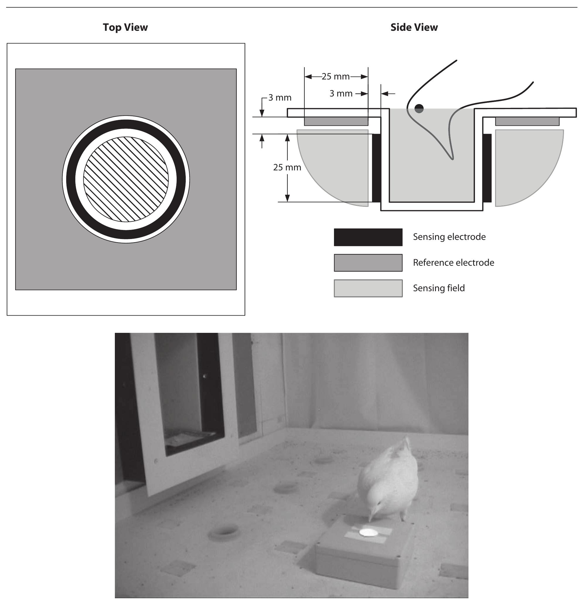The diagram shows the electrode arrangement for the