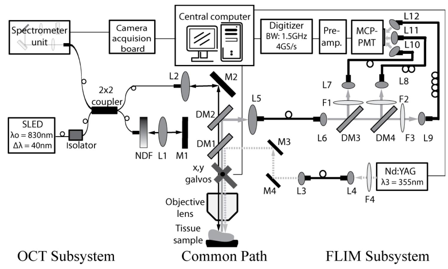 Schematic diagram of the dual-modality imaging system. l1,