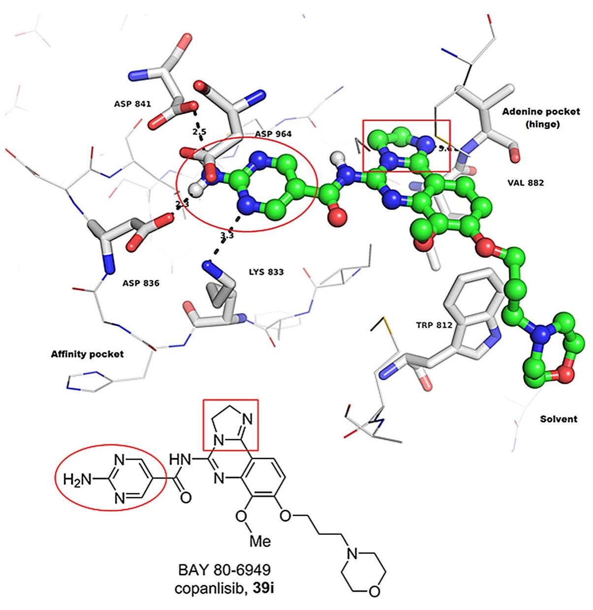 X-ray crystal structure of copanlisib bound to pi3ky.