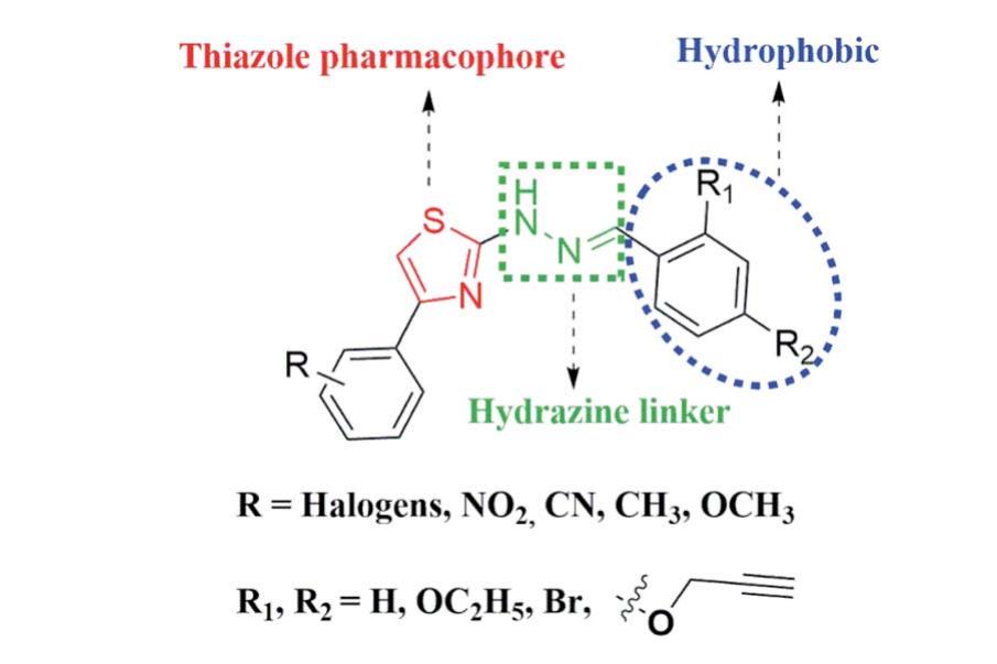 Design of the lead structure for the present investigation.