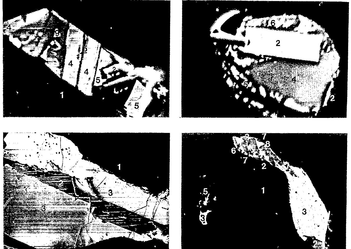 Figure 8 - from The cracking shrinking model for solid-fluid