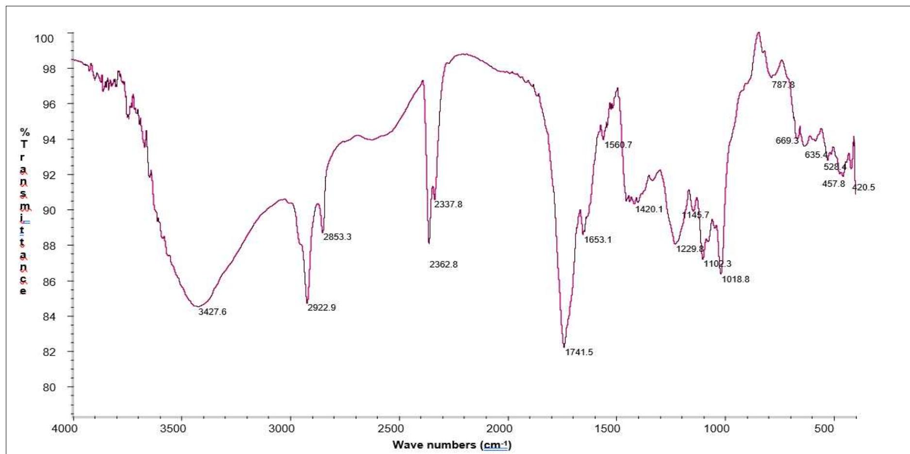(a) ft-ir spectra of apple pectin ft-ir of pectin and pectin