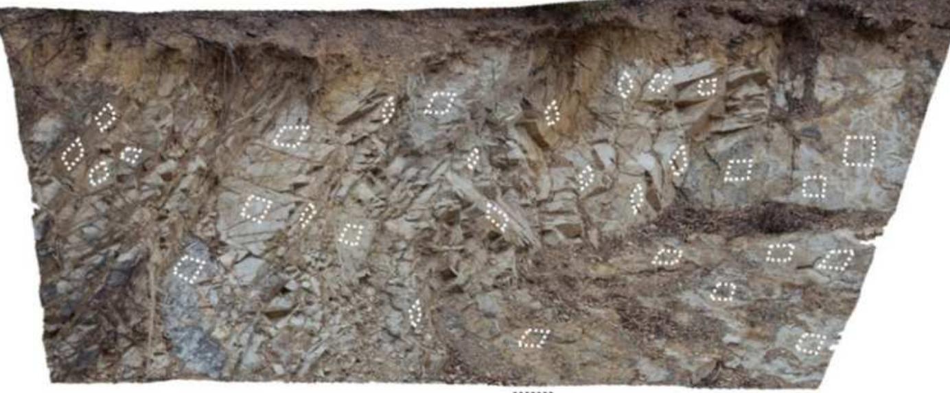 Locations of joint roughness coefficient extraction 30 jrc