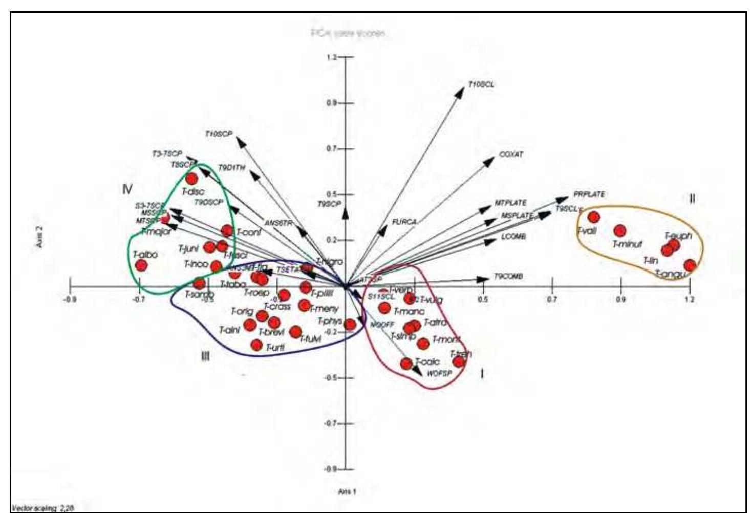 Pca - scatter diagram of thrips genus species as otus along