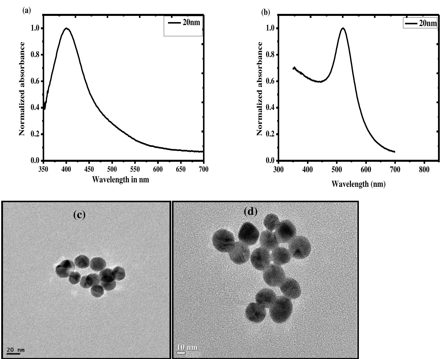 Uv-vis extinction spectra of (a) agnps and (b) aunps (c) tem