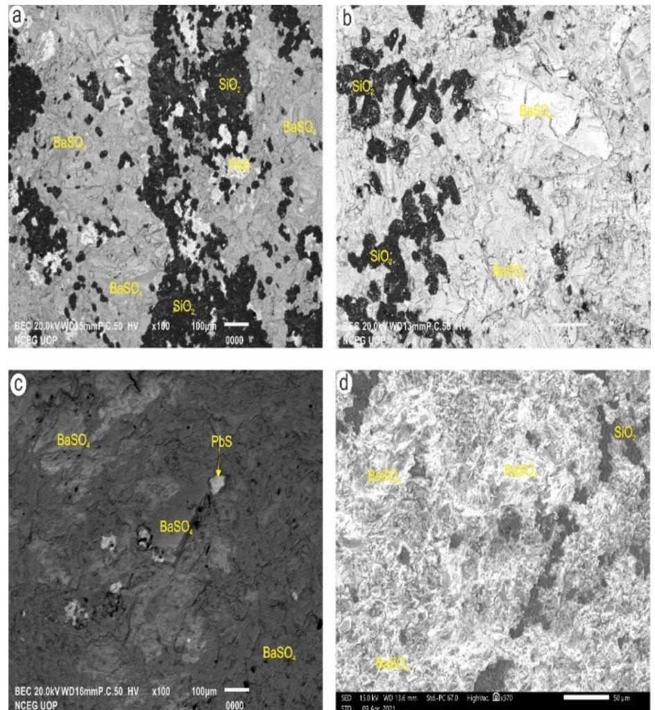 Photomicrograph of bse, sem-edx, and edx map showing a