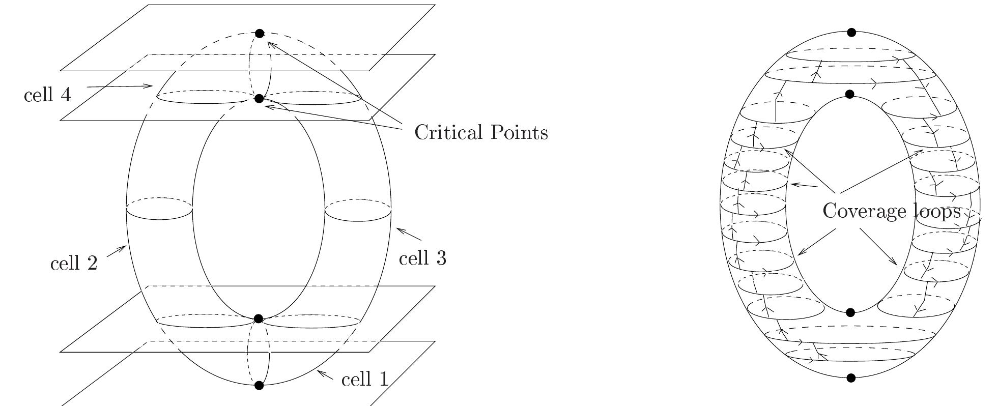 The Cellular Decomposition Of The Torus Its Adjacency Graph