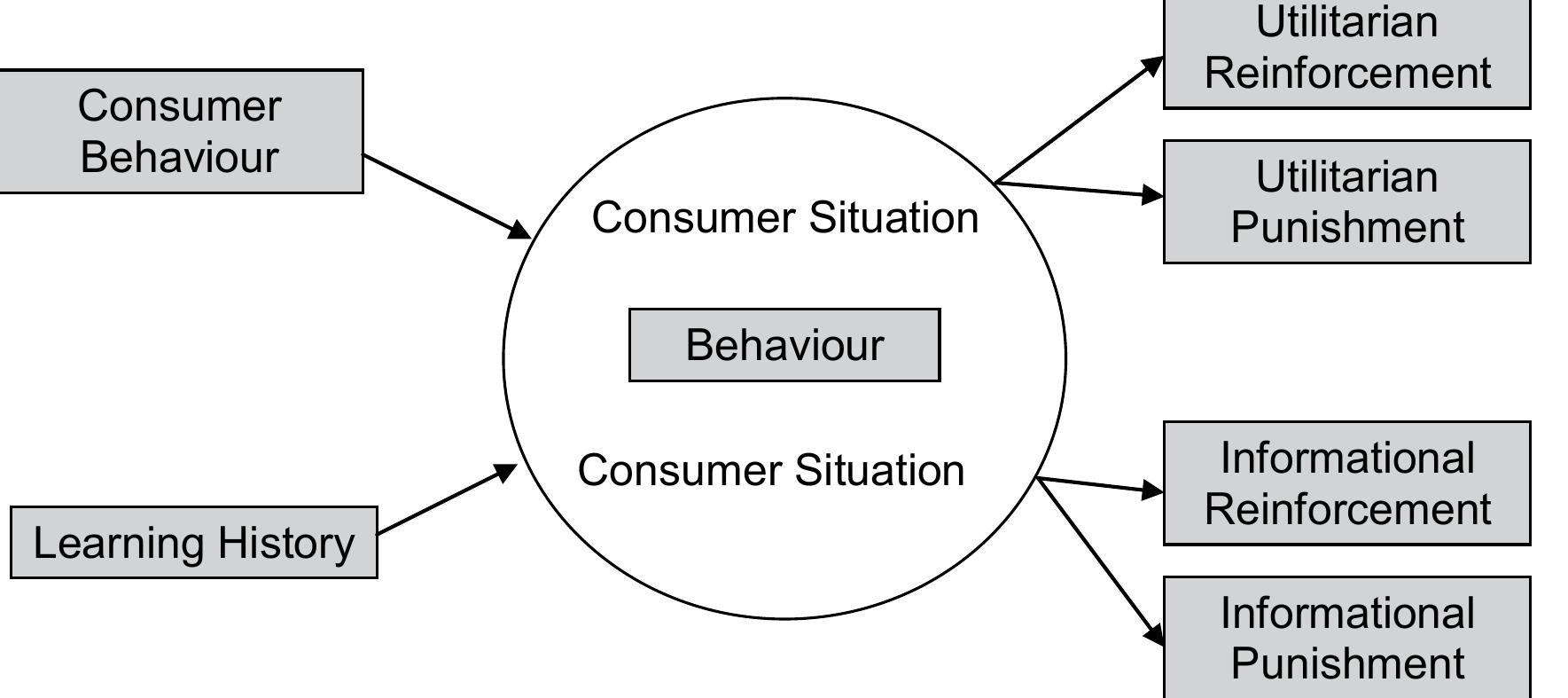Figure 1 - from Consumer behaviour analysis and the
