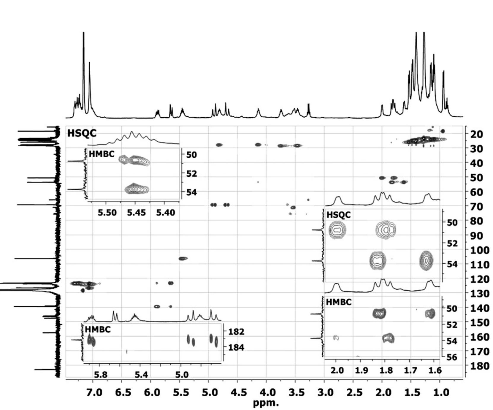 Nmr hsqc and hmbc correlation spectra of the complex 2