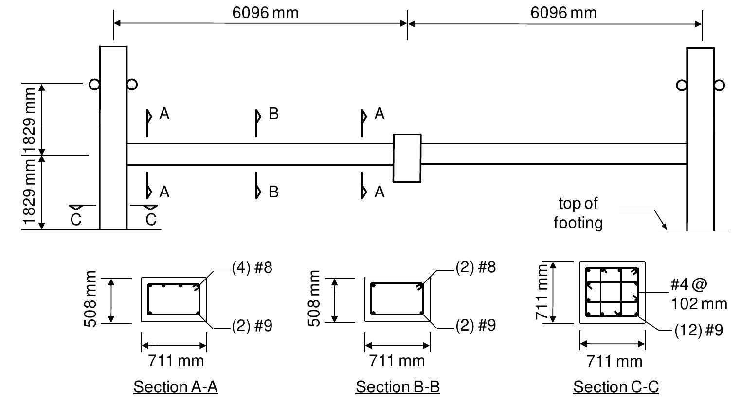 Schematic of the reinforced concrete assembly.