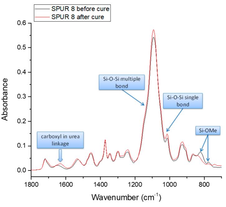 The comparison of atr-ftir spectra of spur 8 before and