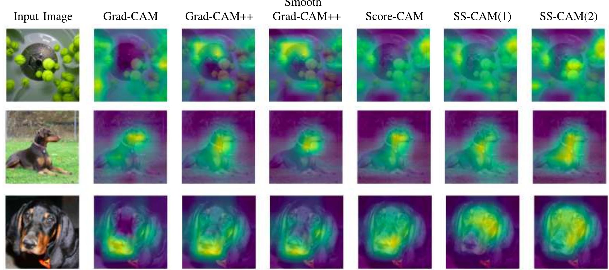 Depicts the imagenet labels (row-wise): tennis ball,