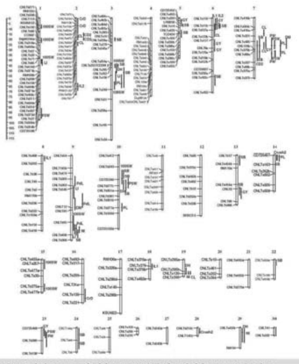 Genetic linkage map of tef showing 83 qti. identified for 17