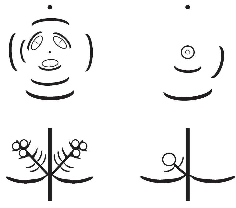 Inflorescence diagrams showing male and female reproductive