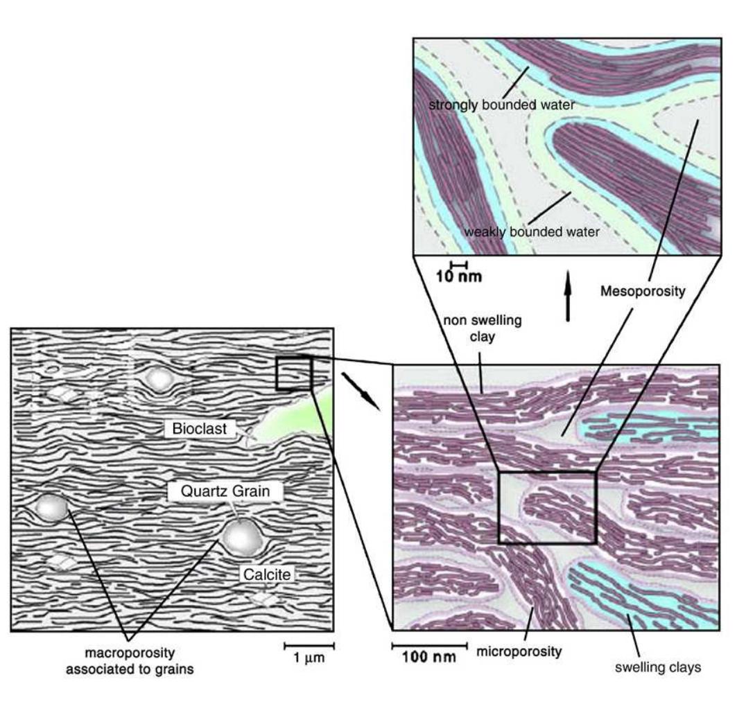 Conceptual model of the cox clay microstructure (yven et al.