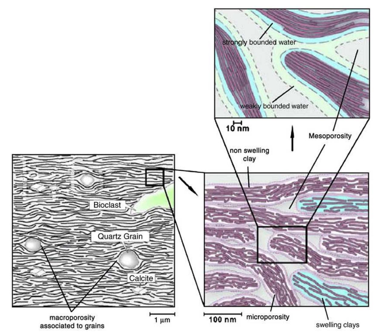 Conceptual model of cox clay microstructure (after yven et
